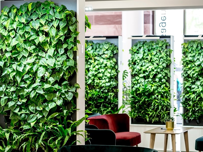 Naava Walls - Exubia