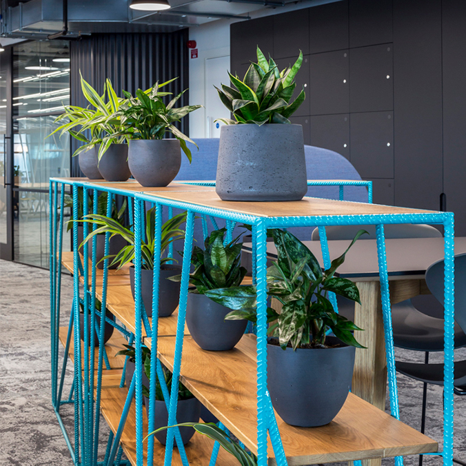 Office Plant Hire | Office Plants, Planters & Living Walls