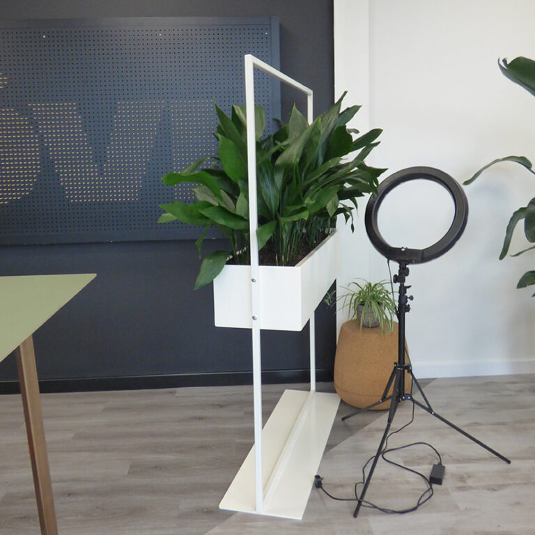 Office Plant Dividers & Room Partitions