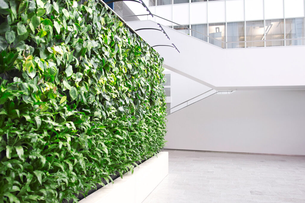 Naava Walls - Exubia