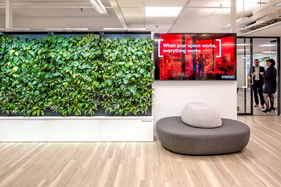 5 Simple Ways To Enhance Your Office | Exubia