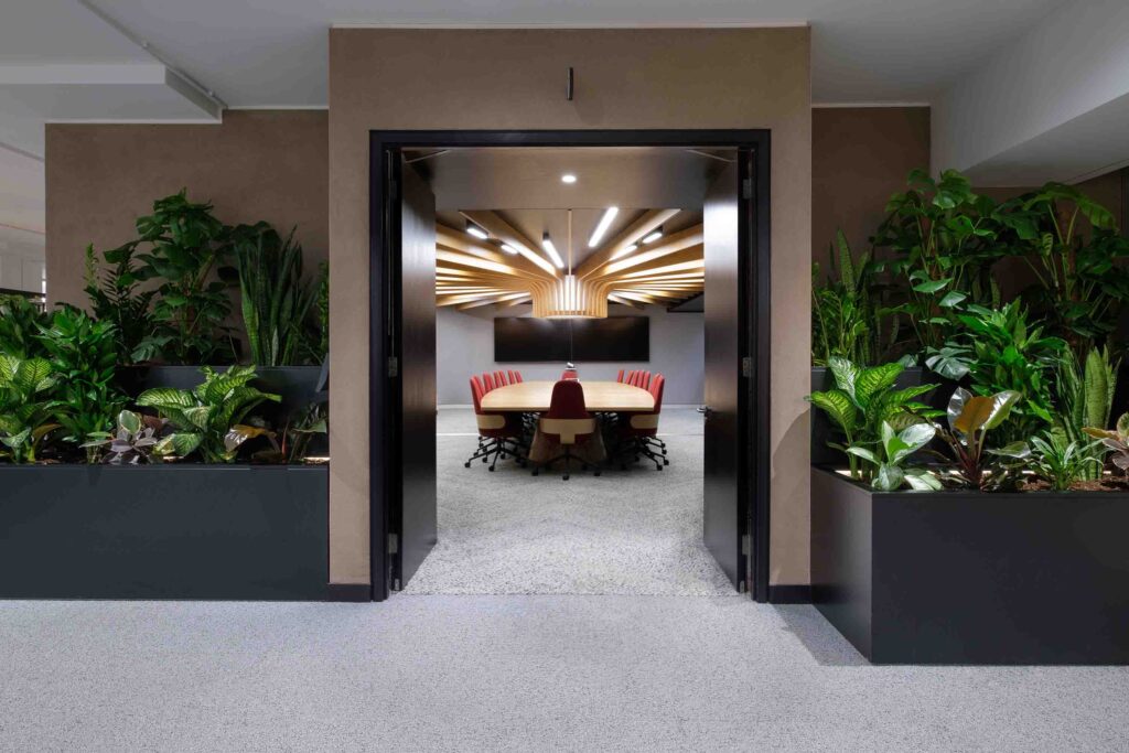 Top 10 Best Plants For Meeting Rooms | Exubia